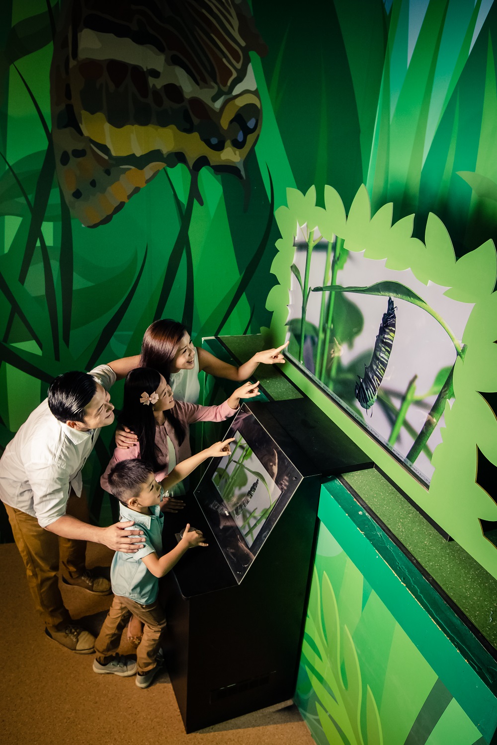 Singapore's First Butterfly Vivarium Opens At The Science Centre ...