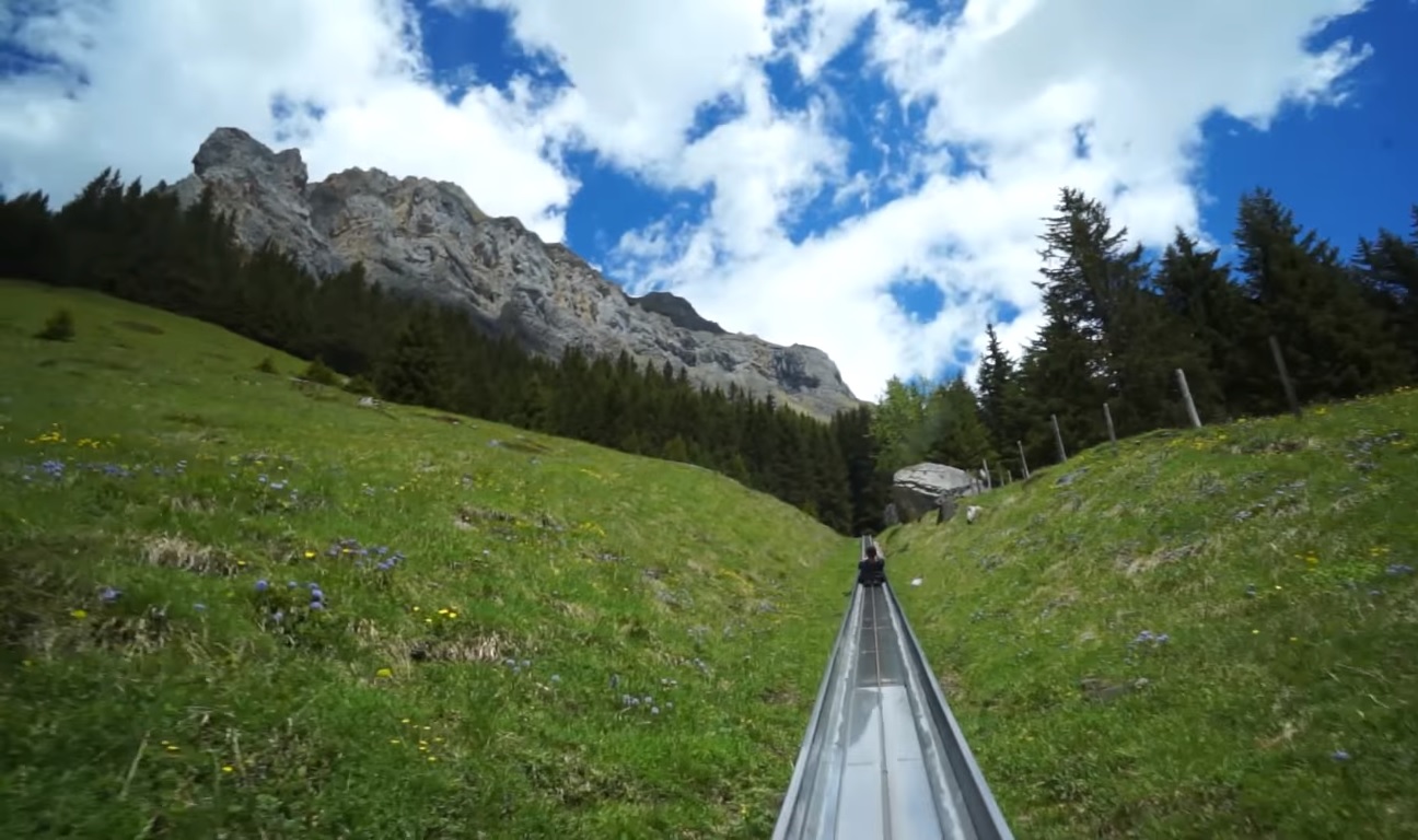 Slide Down The Swiss Alps On A Mountain Coaster - Weekender.Com.Sg