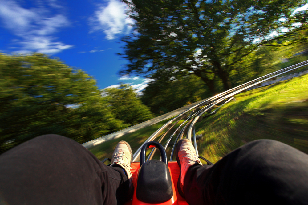 Slide Down The Swiss Alps On A Mountain Coaster - Weekender.Com.Sg