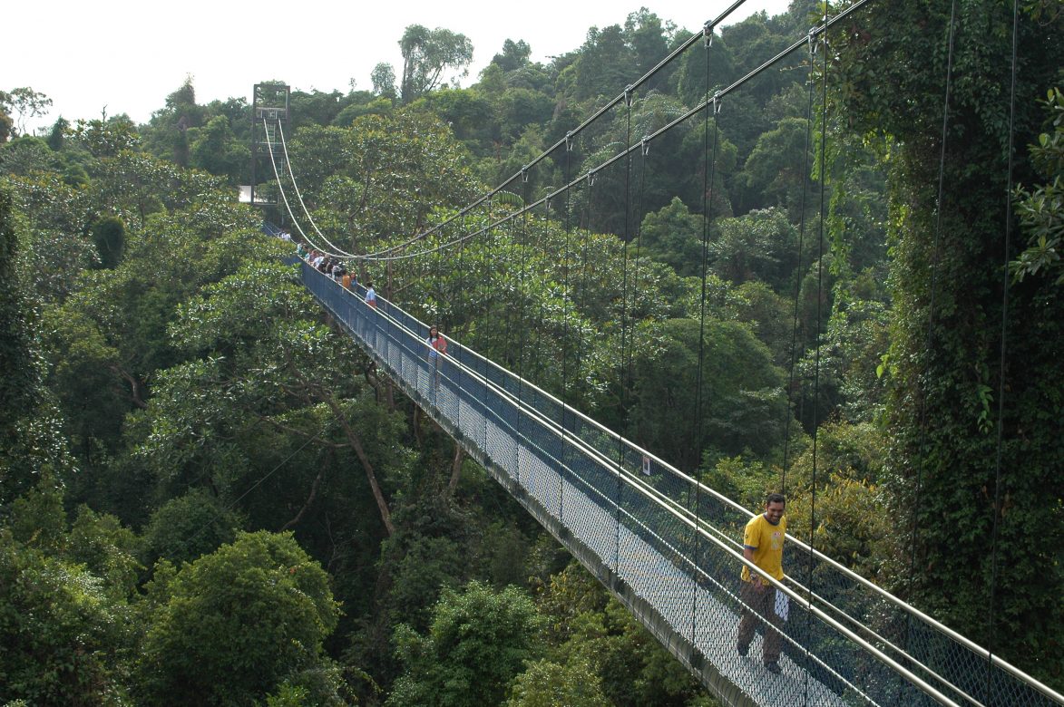 Your Ultimate Guide To Walking Trails In Singapore: 20 Places To Get ...