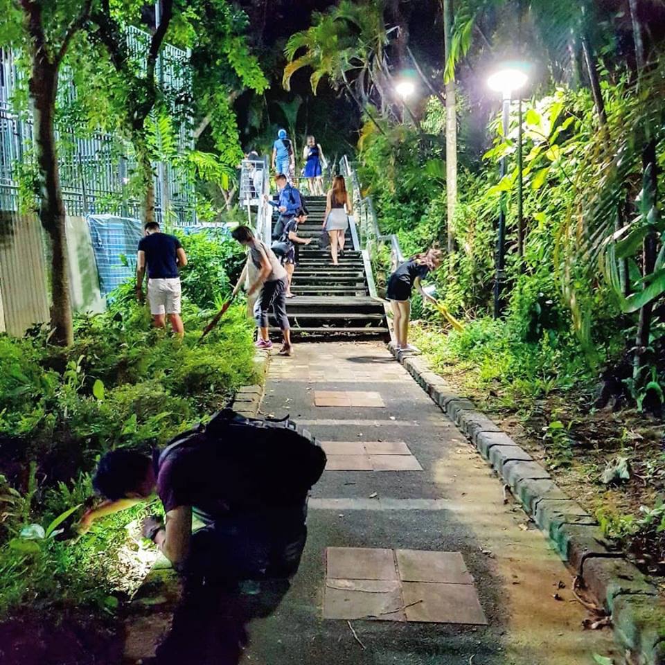 How To Hunt The Mouse: 6 Questions With The Team That Found The ...