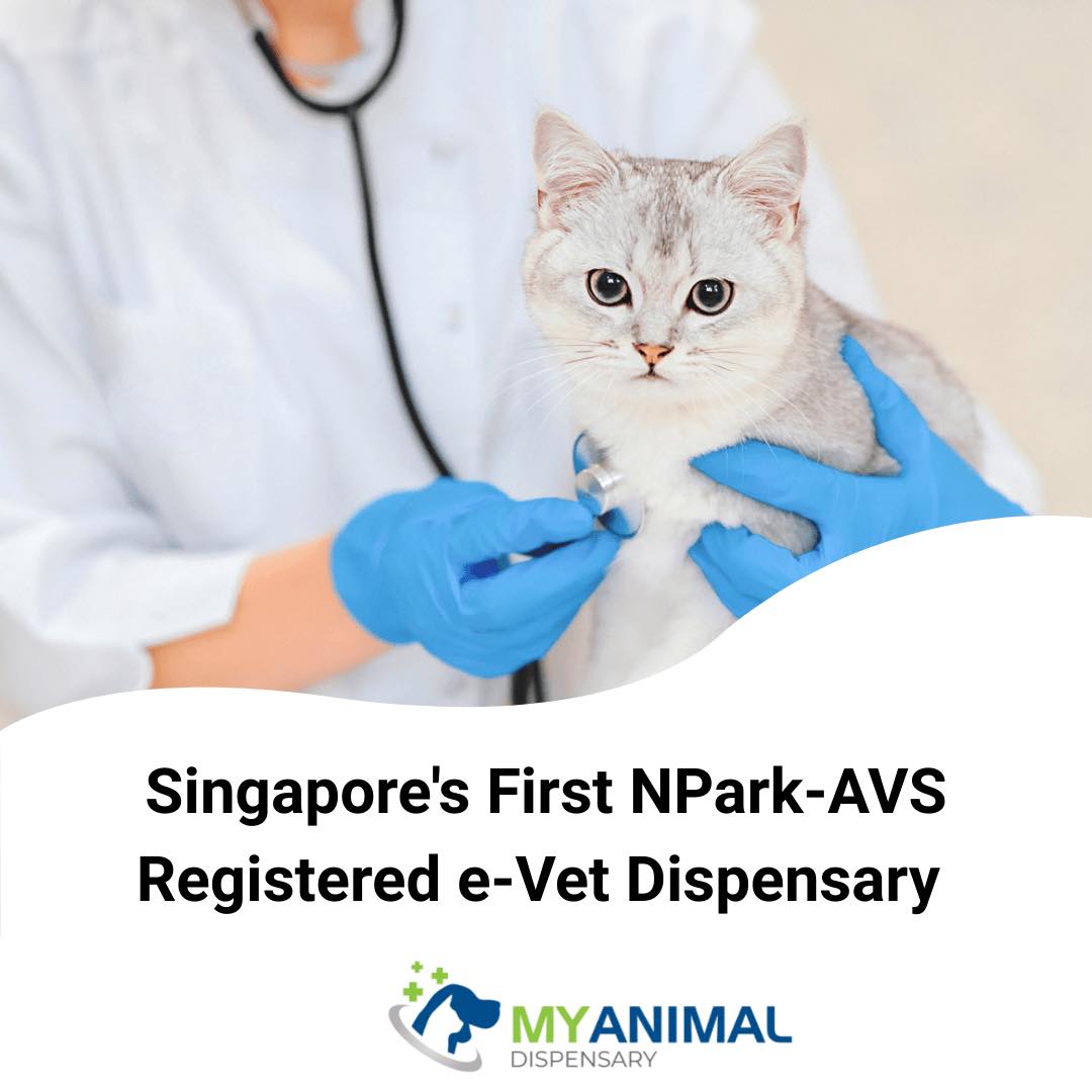 My Animal Dispensary: Singapore's First-ever Online Pet Dispensary For ...