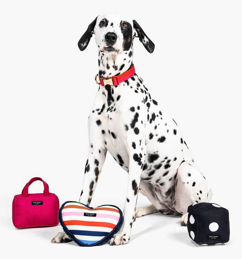 Discover Kate Spade New York‘s First-Ever Pet Collection For Four ...