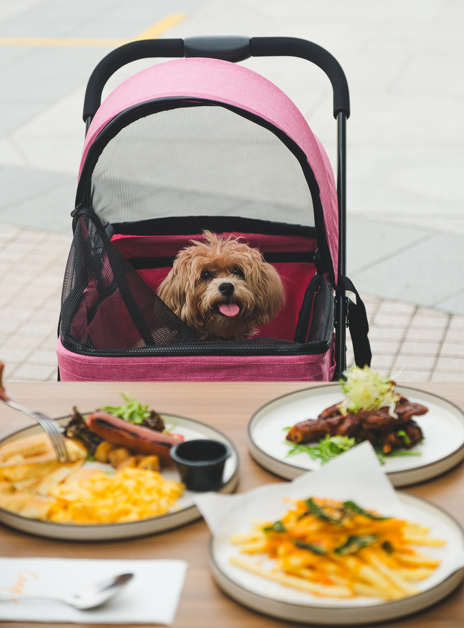 Canopy now takes to the city centre at Esplanade Mall for an urban ...