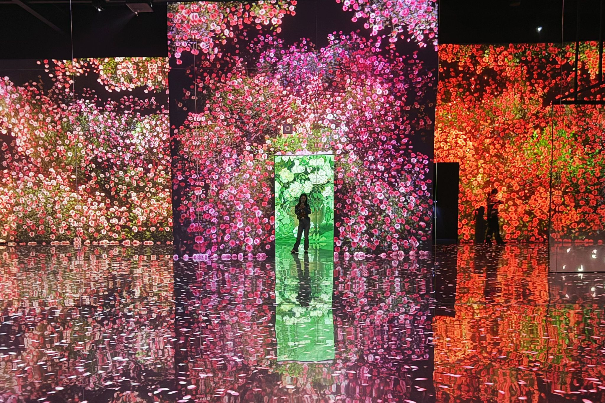 Discovering Korea’s Hidden Beauty: The Unique Charms of Busan, Ulsan ...